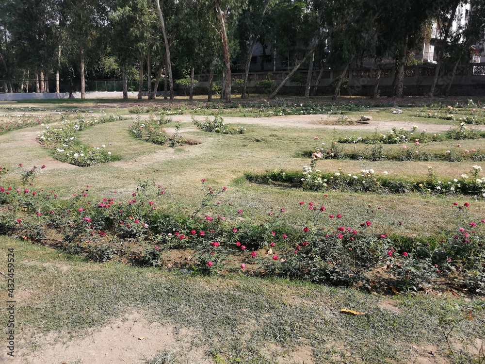 Circular shaped Flower garden at Sanjay lake park with trees and wall ...