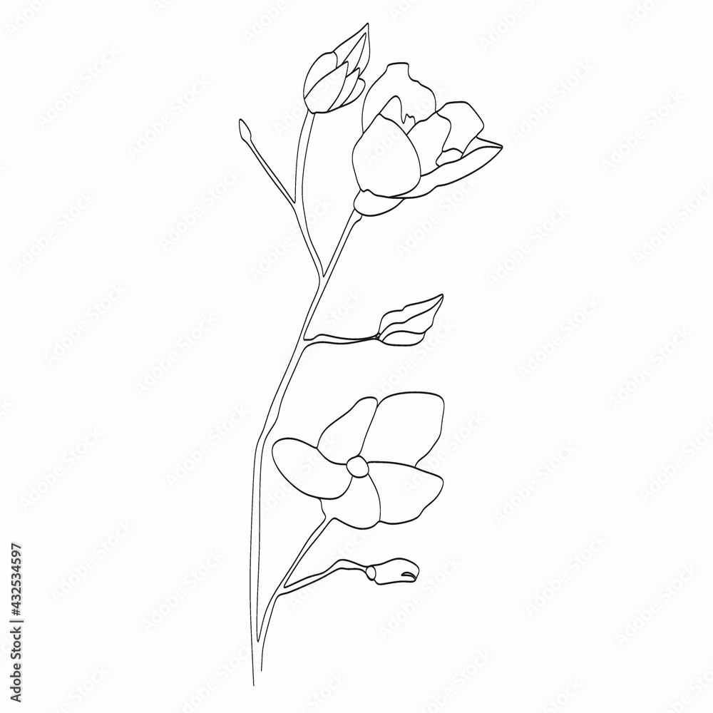Abstract plant one line drawing. Hand drawn modern minimalistic design ...
