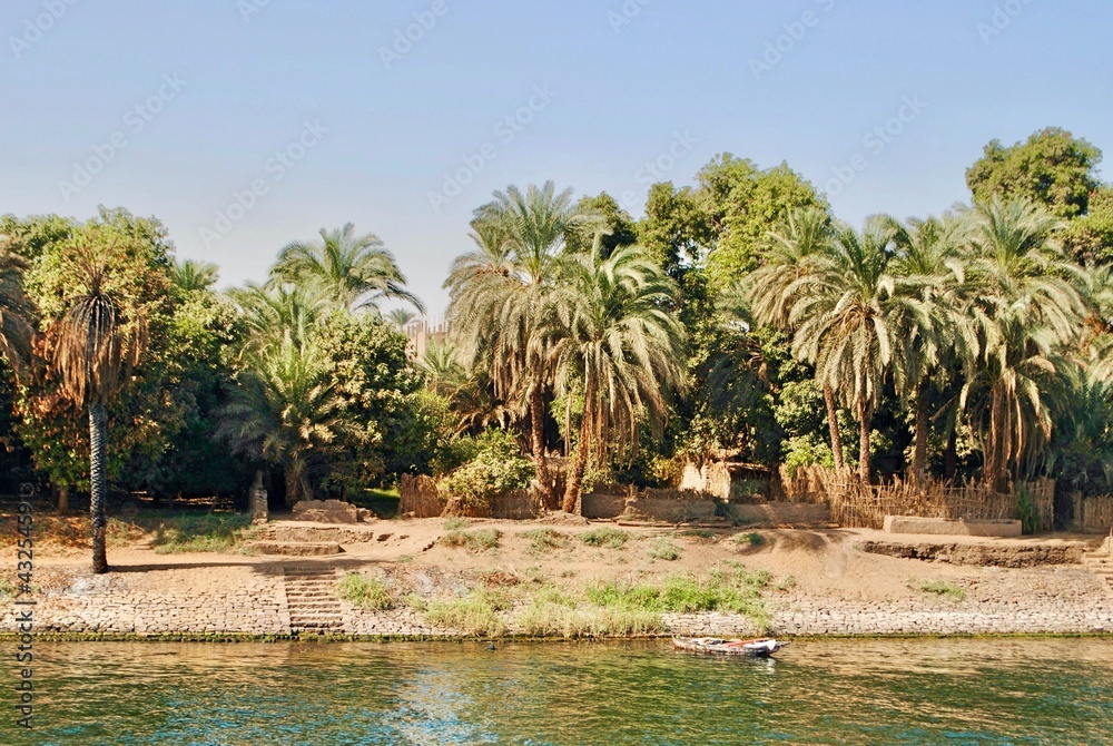 Egypt. The river bank of Nile with a row boat and palm trees. Aswan to ...