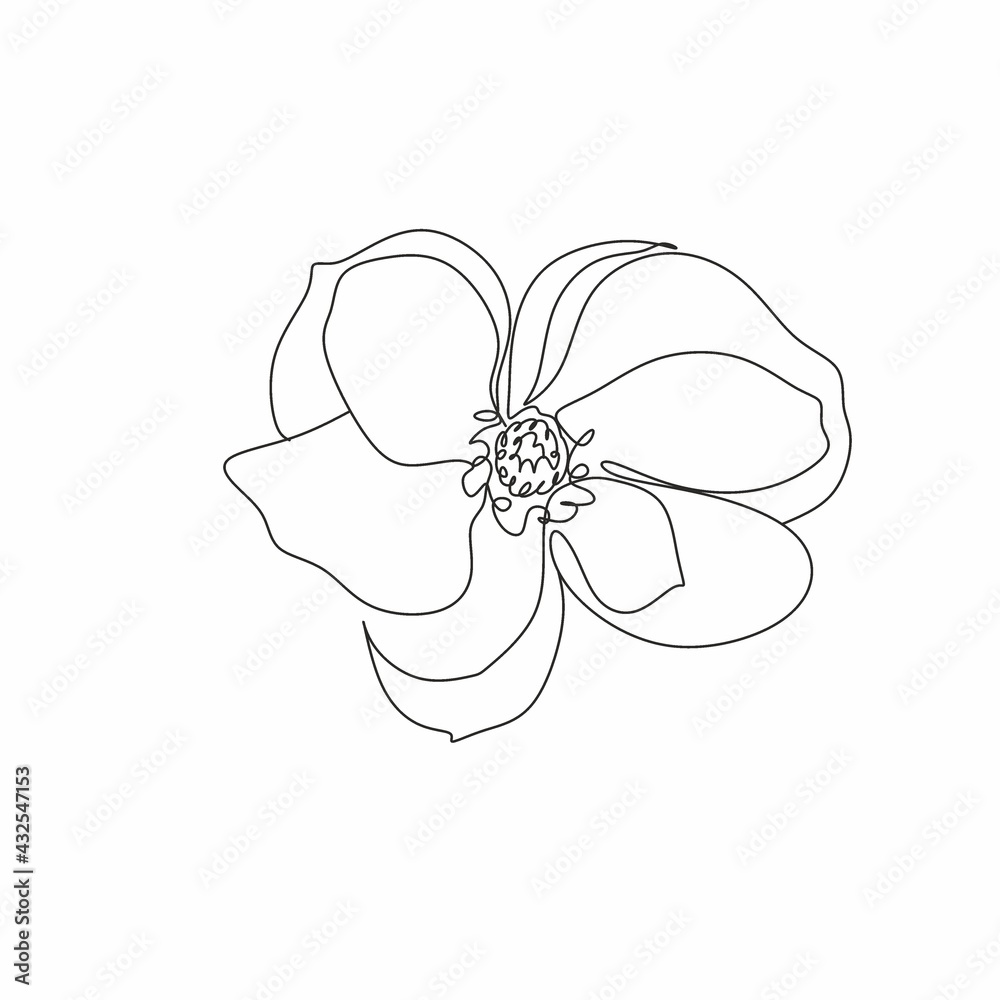 Magnolia line drawing vector. Flower Line art. Botanical illustration ...