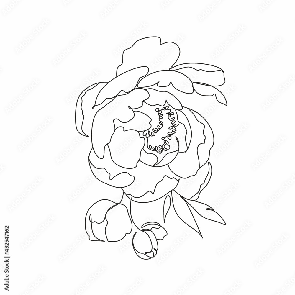 Peony Line drawing. Flower Line art vector. Peonies Botanical logo ...