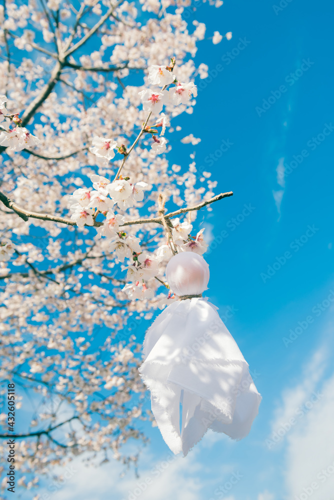 Teru Teru Bozu. Japanese Rain Doll hanging on Sakura tree to pray for ...