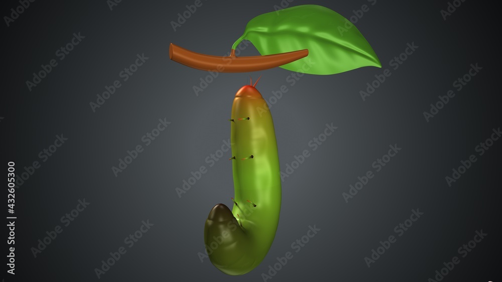 3d illustration of butterfly life cycle stages anatomy. Stock ...