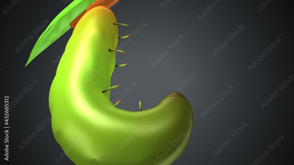 3d illustration of butterfly life cycle stages anatomy. Stock ...