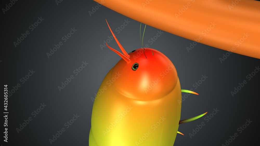 3d illustration of butterfly life cycle stages anatomy. Stock ...