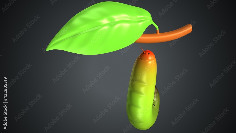 3d illustration of butterfly life cycle stages anatomy. Stock ...