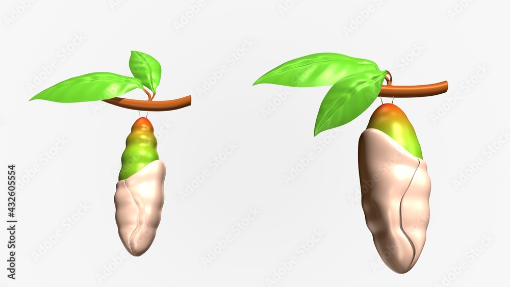 3d illustration of pupa level butterfly life cycle Stock Illustration ...