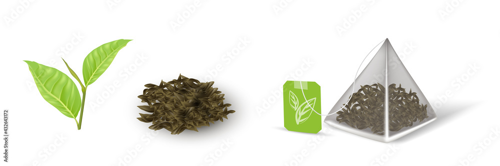 Green herbal tea in teabag and pile, fresh plant set. Triangular ...