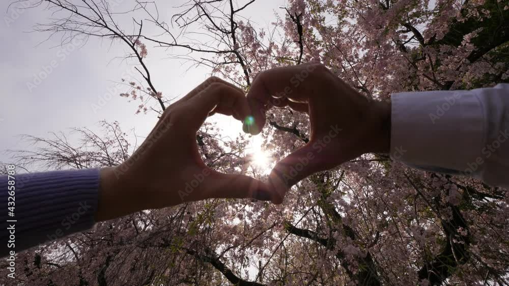 Couple hold hands in shape of heart halves against blossom cherry tree ...