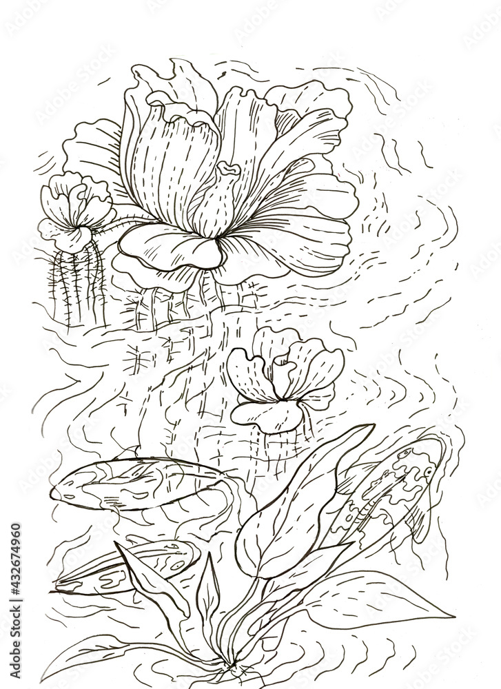 Lotus water lily leaves on the water coloring book for children and ...