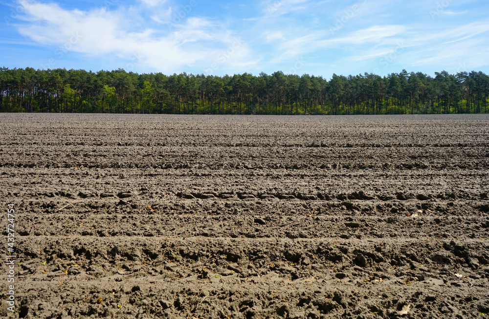 Frisch bestelltes Acker vor einem Wald, Landwirtschaft, Landnutzung ...