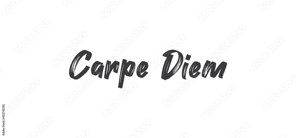Carpe Diem lettering text, hand drawn typographic style phrase ...