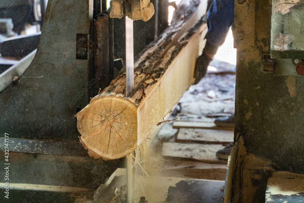 Sawmill cutting log process of making wood planks lumber and timber ...