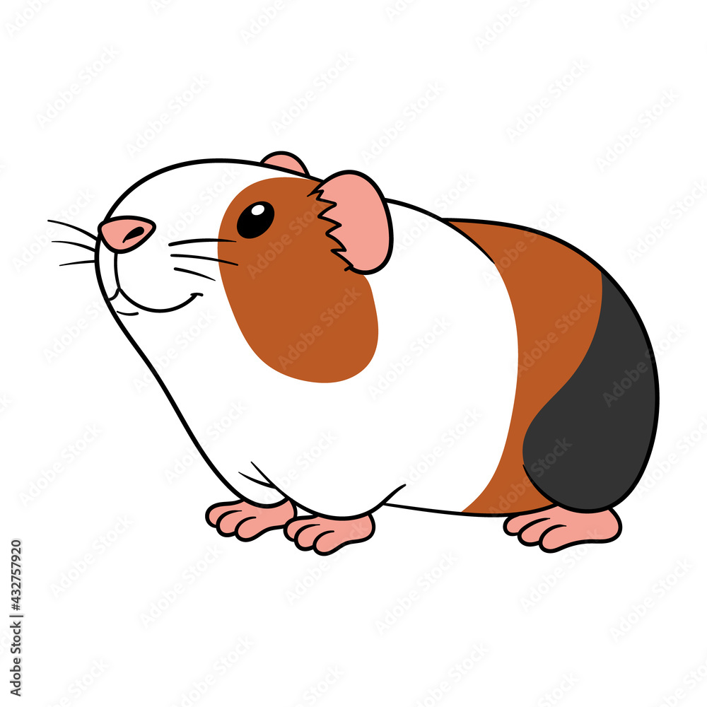 Cartoon Guinea Pig Vector Illustration Stock Vector | Adobe Stock