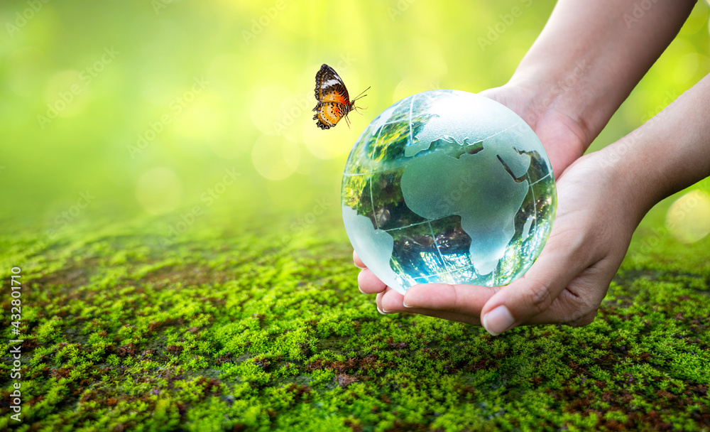 A man with a glass globe Concept day earth Save the world save environment The world is in the ...