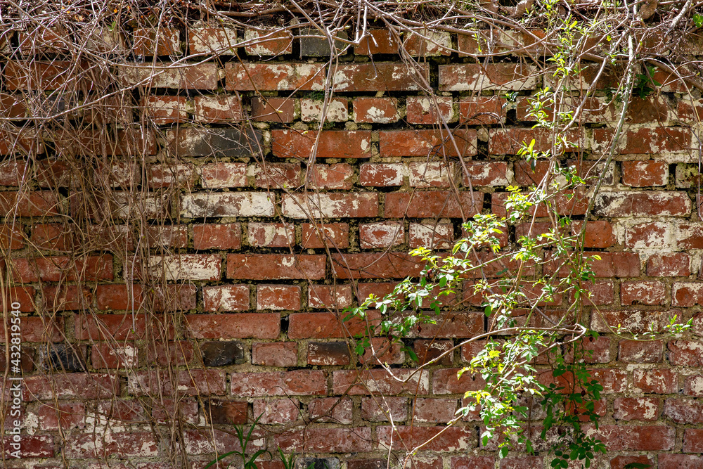 Ziegelmauer Stock Photo | Adobe Stock