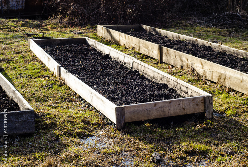 Beds for growing vegetables, made of rough boards and filled with fresh ...