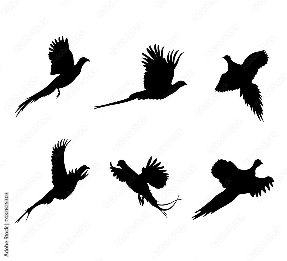 A set of flying pheasants. Vector black silhouettes of birds in ...