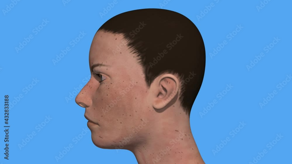 Female face aging old to young. Human face reverse aging process. Old ...