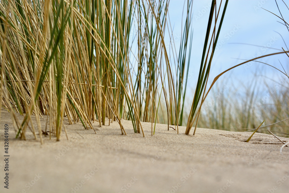 The sand dunes in Merthyr Mawr, Bridgend. A designated nature reserve ...