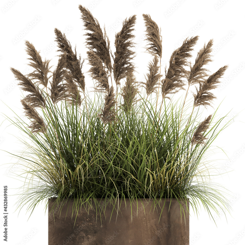 3D digital render of reeds in a rust pot isolated on white background ...