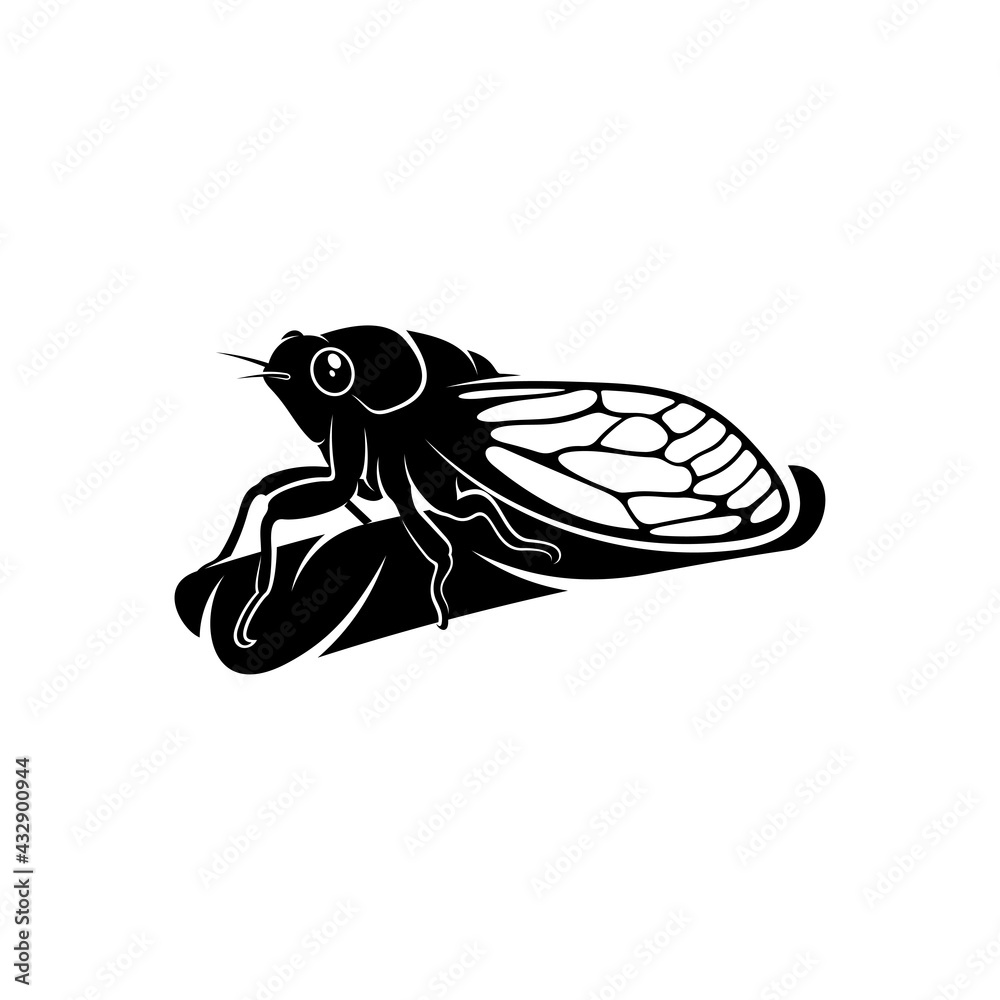 Cicada design vector illustration, Creative Cicada logo design concept ...