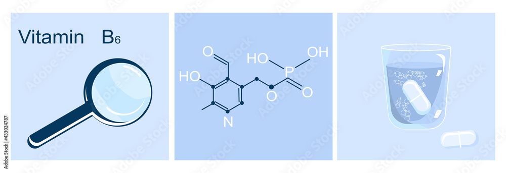 Vitamin B6 infographic set.Pyridoxine and coenzyme chemical formula ...