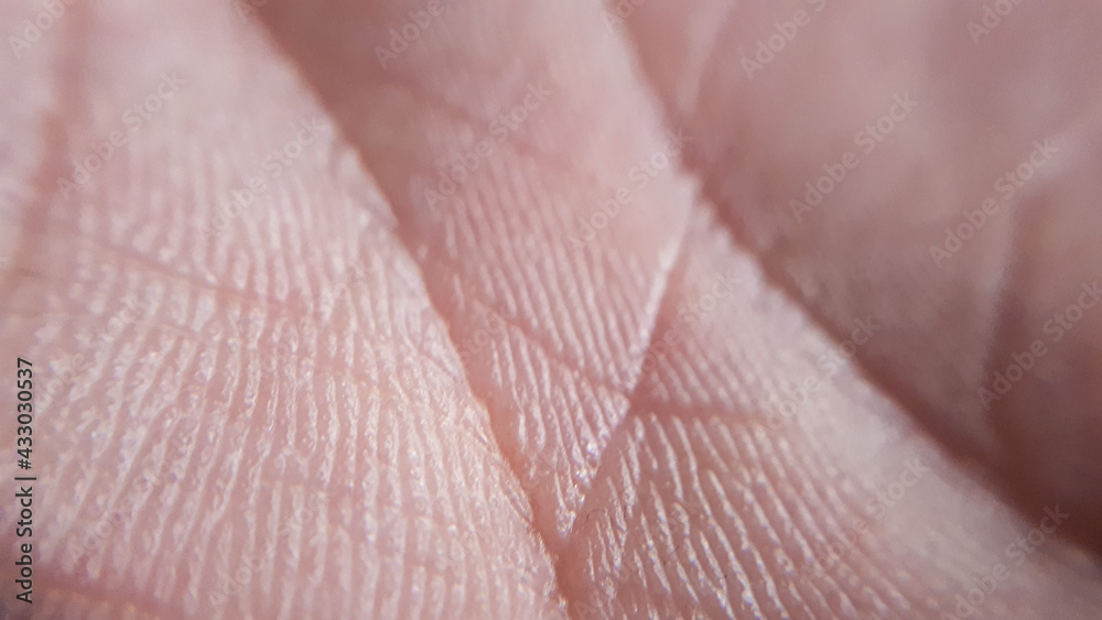 macro skin of human hand. Medicine and dermatology concept. Details of ...