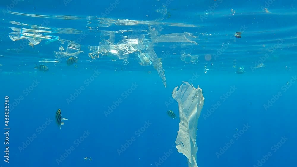 A lot of plastic trash floats in the water along with colored tropical ...