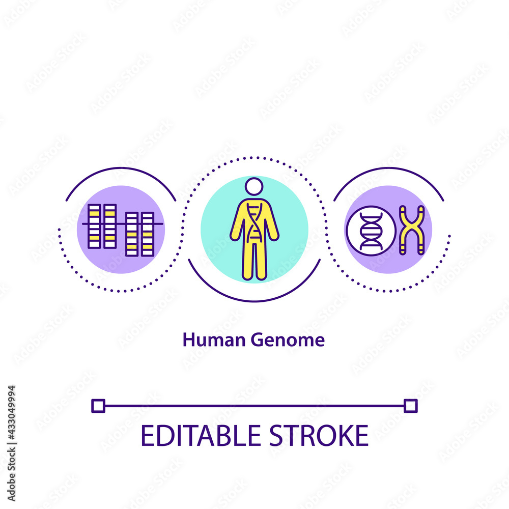 Human genome concept icon. Set of nucleic acid sequences of human body ...