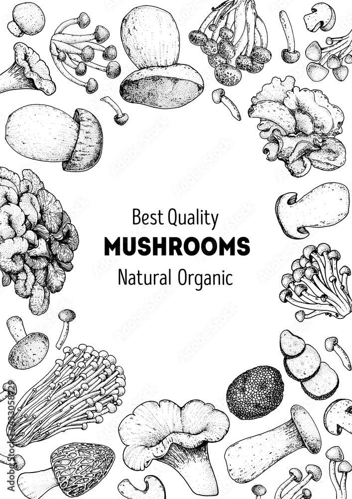 Edible mushrooms hand drawn sketch. Vector illustrations collection ...