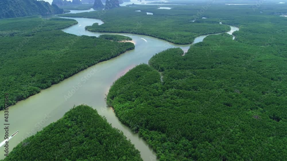 Aerial view Beautiful greenery mangrove forest with mountains peak ...