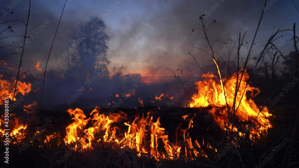 air pollution caused by wild fire. spring wildfire season. weather ...
