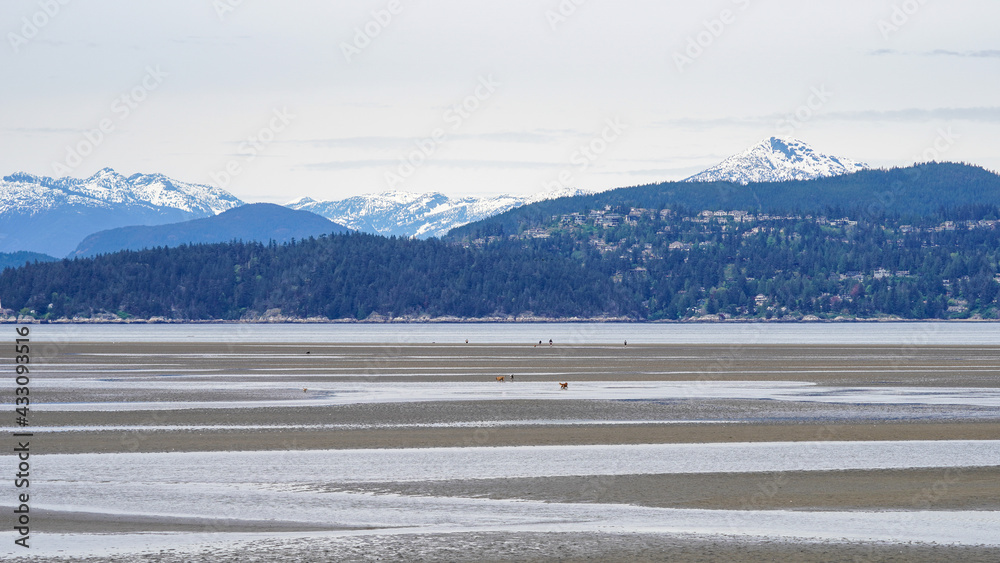 Spectacular panoramic view to snow mountain and shallow water during ...