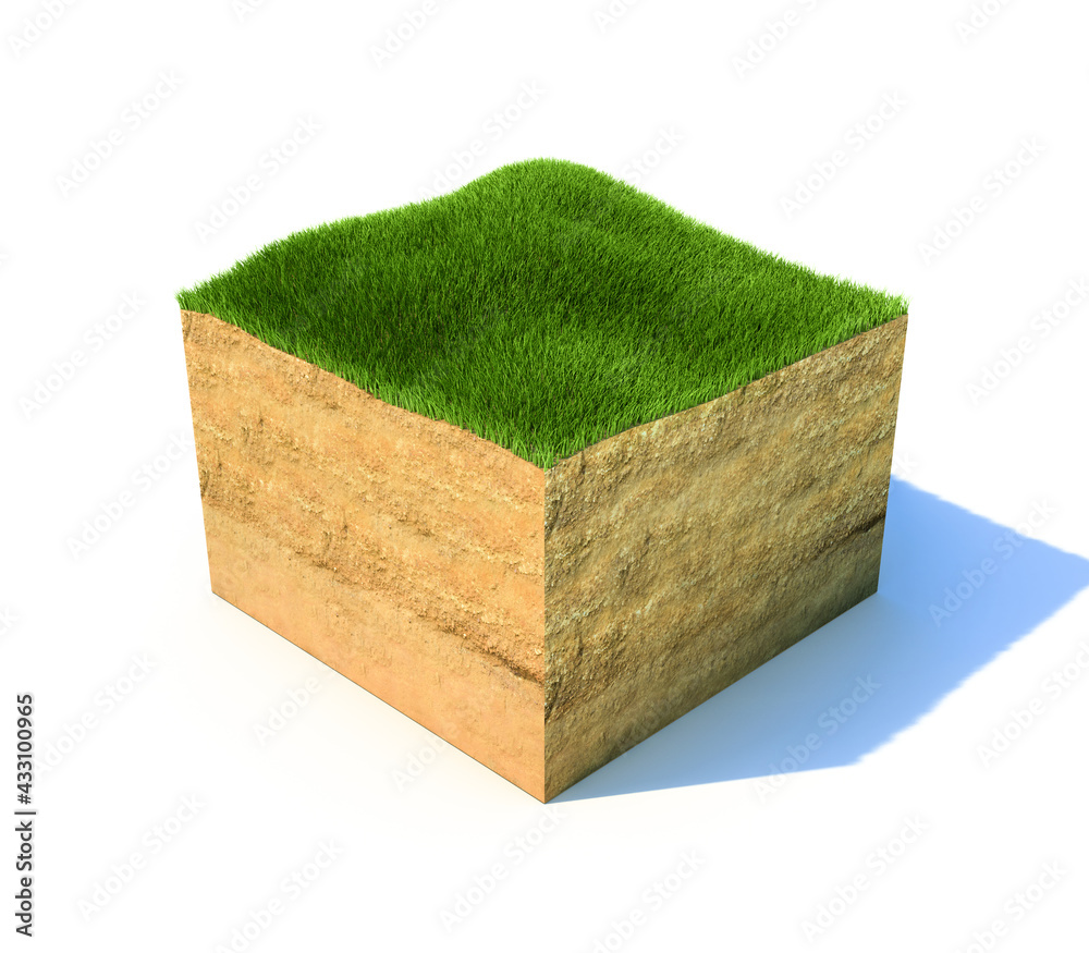 Cross section of ground with grass or grassland isolated on white ...