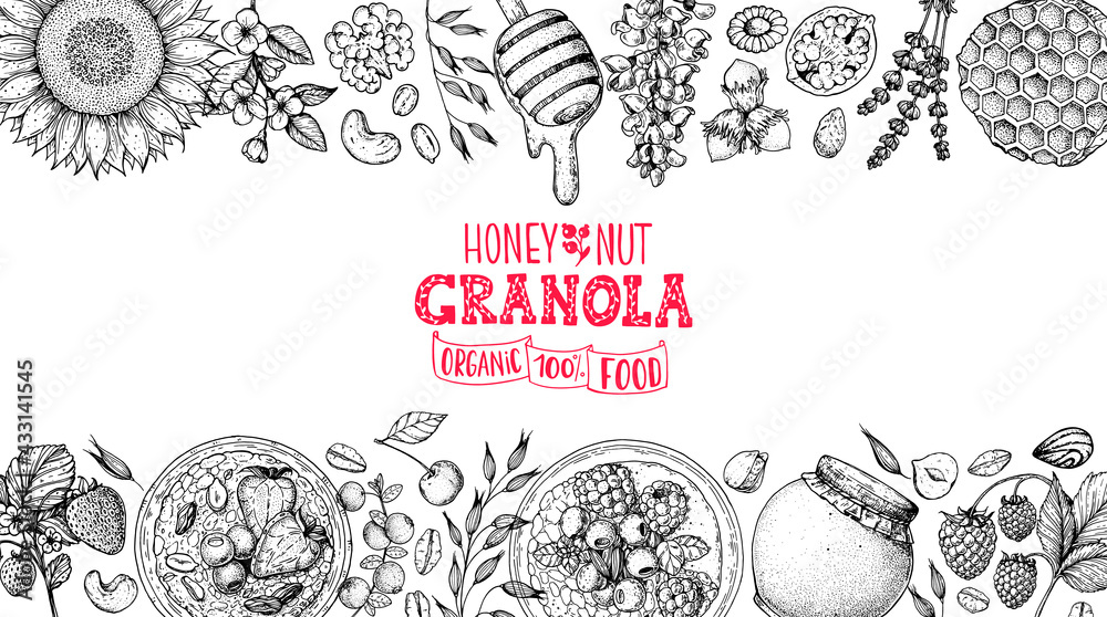 Granola ingredients illustration. Oat flakes , berries, fruits and nuts ...
