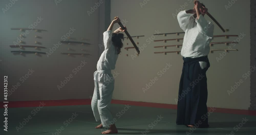 Cinematic shot of budokai fighter master and his pupil practicing with ...