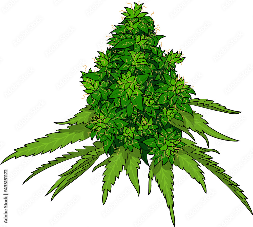 Weed Vector