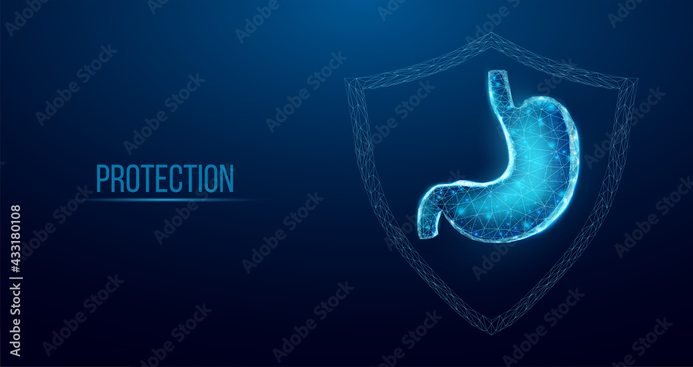 Human stomach protection. Wireframe low poly style. Concept for medical ...