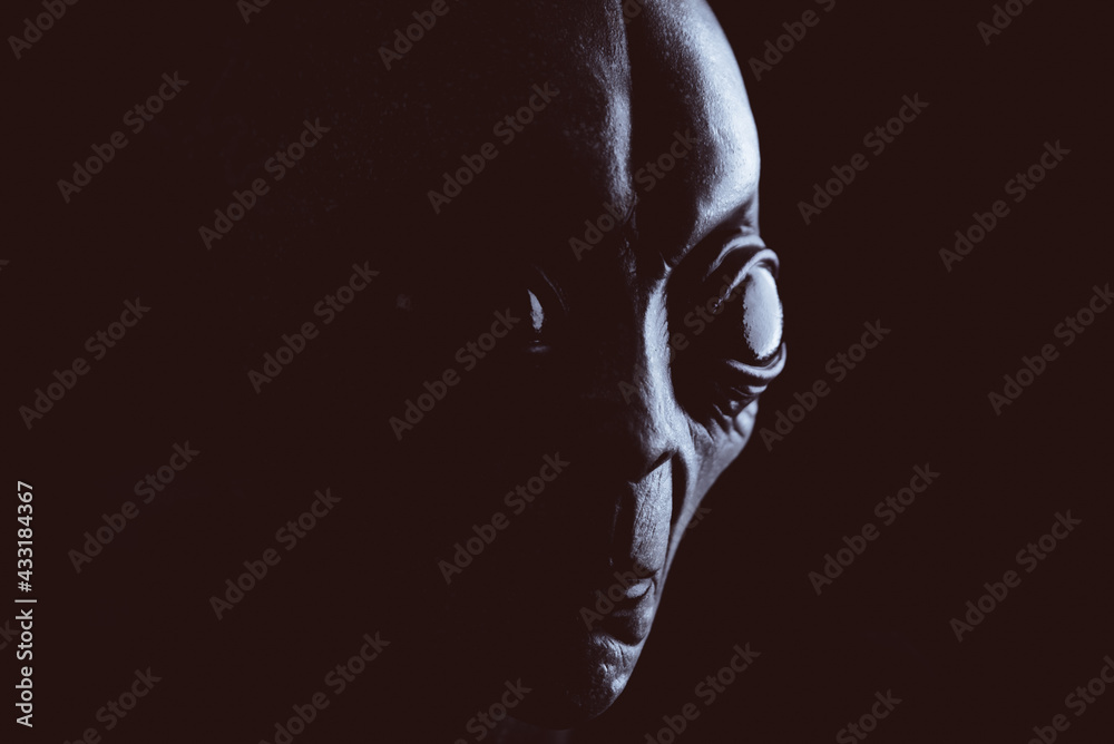 Poster Alien creature has a message for humans – Wall Art | UkPosters