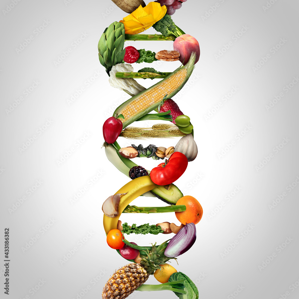 GMO food and Genetically modified crops or engineered agriculture ...