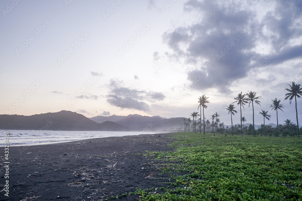 Lampon beach ( pantai Lampon ) with coconut trees. at Banyuwangi ...