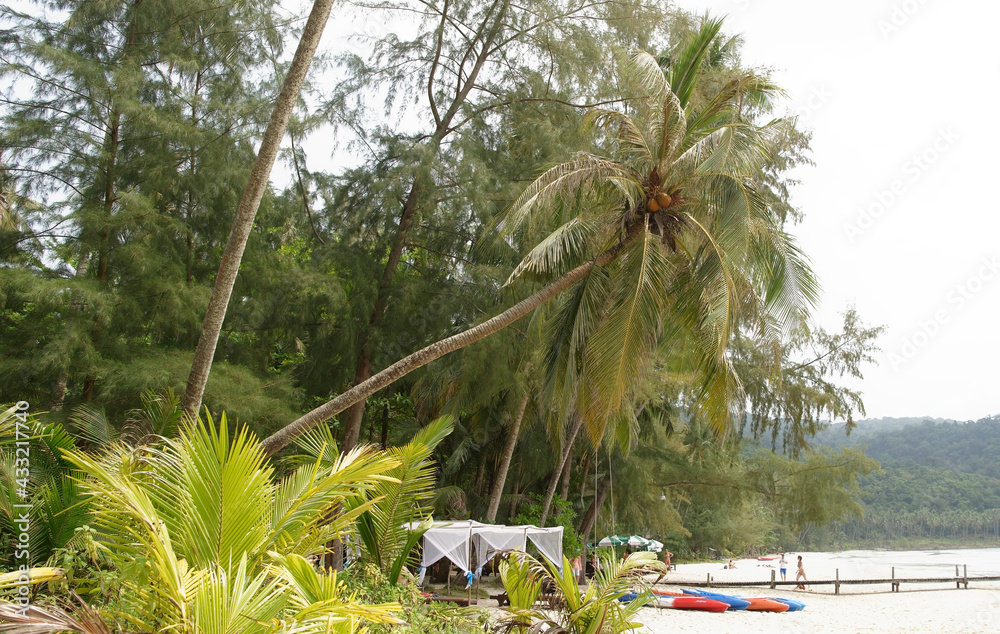 People sunbathe and swim at the beach paradise of coconut island Stock ...