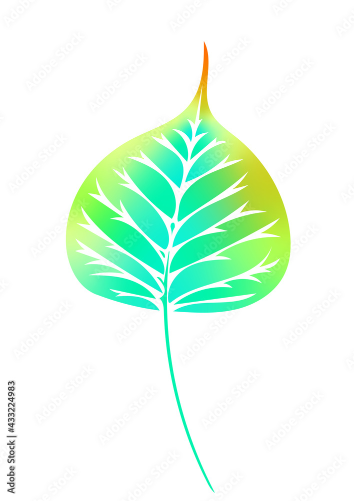 Pipal tree Leaf illustration Stock Illustration | Adobe Stock
