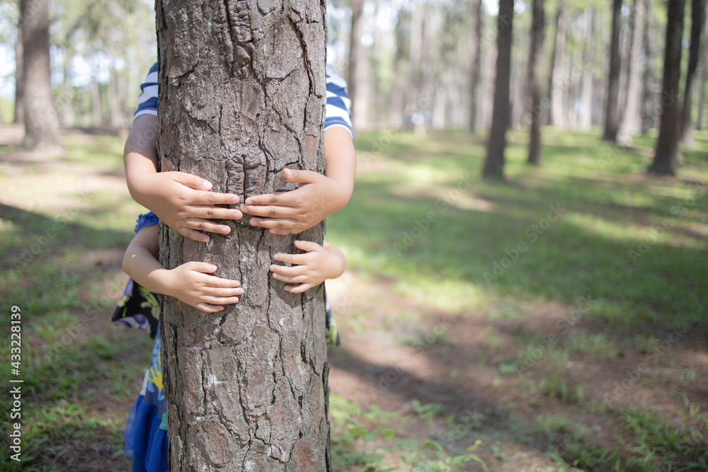 Tree hugging, little two girls giving a tree a hug , concept for love ...