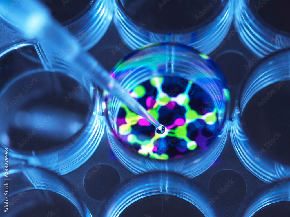 Conceptual image to illustrate biotechnology, Scientist pipetting ...