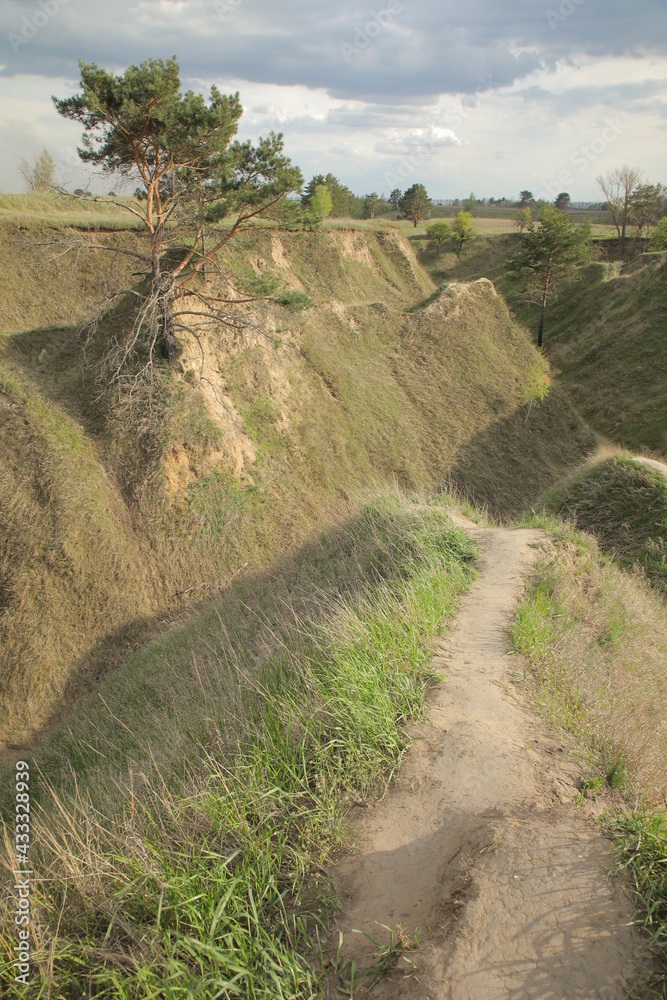 beautiful sunny wilderness landscapes, a place to walk and relax with ...