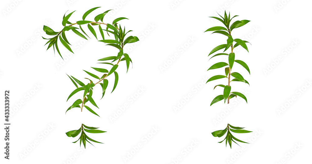 Question mark and Exclamation Mark made of green plants Stock Photo ...