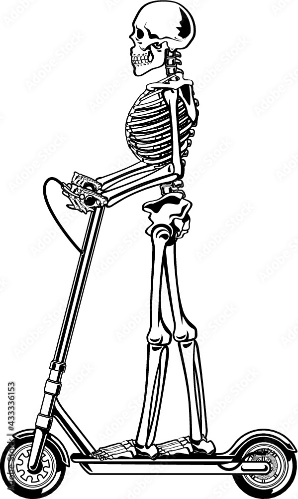 human skeleton driving motorcycle Stock Vector | Adobe Stock