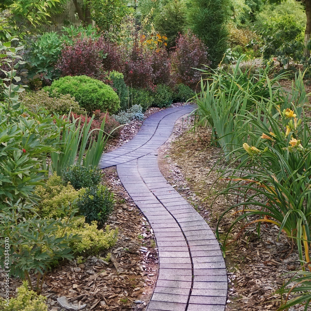 Backyard Garden Modern Design Landscaping. Decorative Garden Winding ...